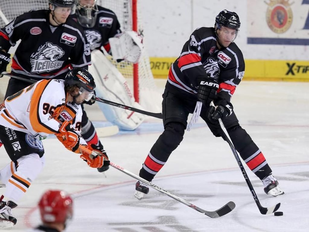 Heatley begeistert Nürnberg - Hedden hilft Straubing