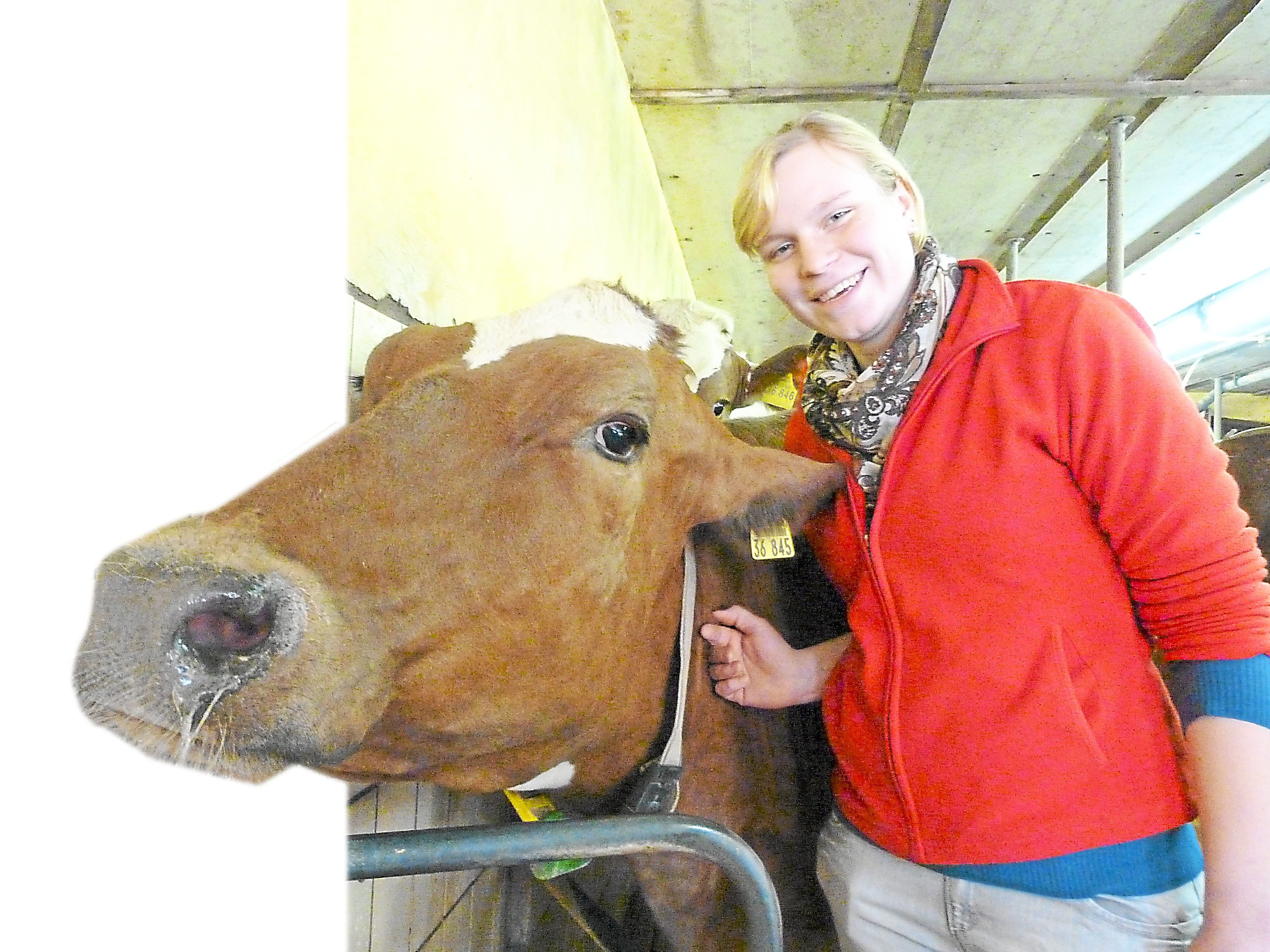 Meister-Melkerin im Kuh-Karussell