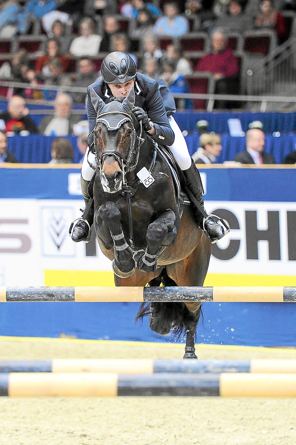 Winkelhaus gewinnt Dortmunder Reitturnier