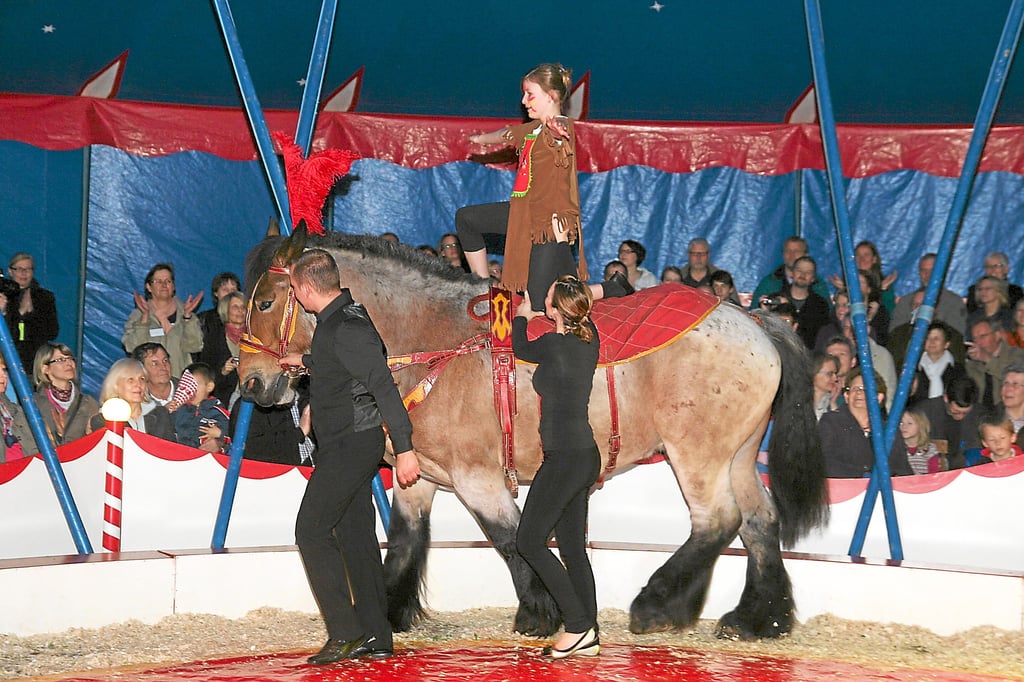 „Manege frei!“ für kleine Stars