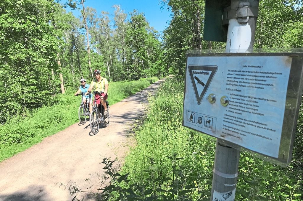 Die Venne liegt mitten in Europa