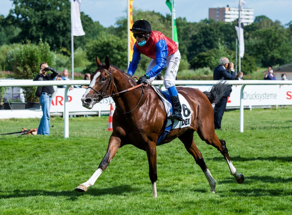 Derbysieger In Swoop muss Karriere nach Verletzung beenden