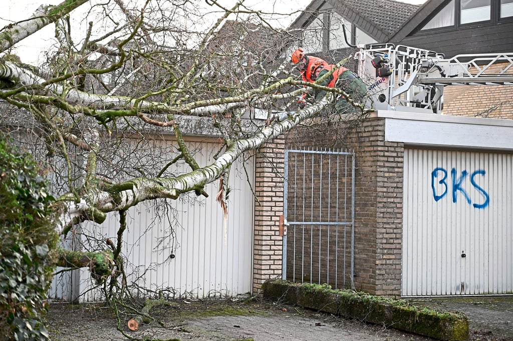 Das war der Donnerstag in Münster