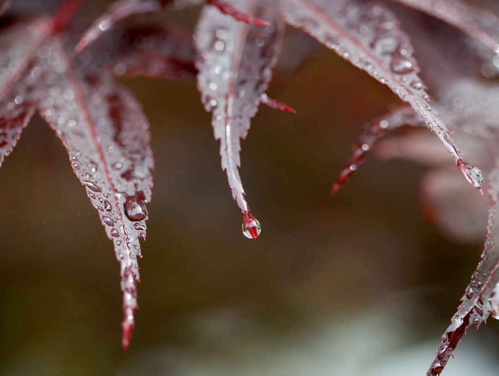 Der Herbst bietet einen Vorgeschmack