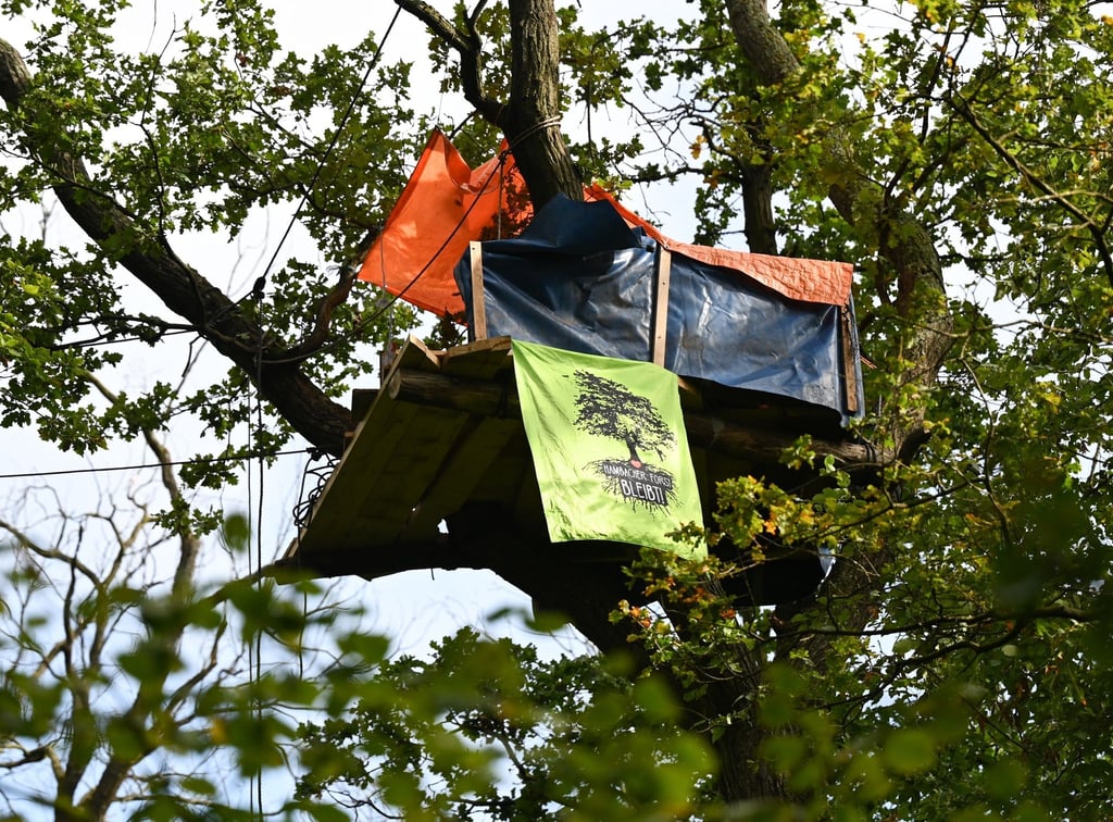 Hambacher Forst: OVG verhandelt im Streit um Baumhäuser Hambacher Forst: OVG verhandelt im Streit um Baumhäuser