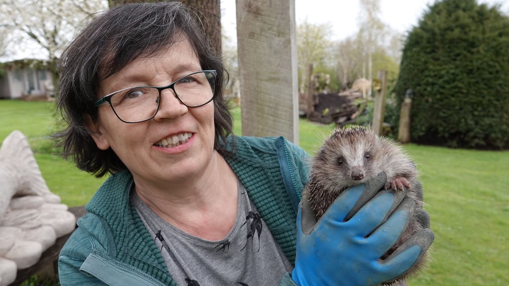 Willebadessen: Mähroboter dürfen nachts nicht mehr fahren