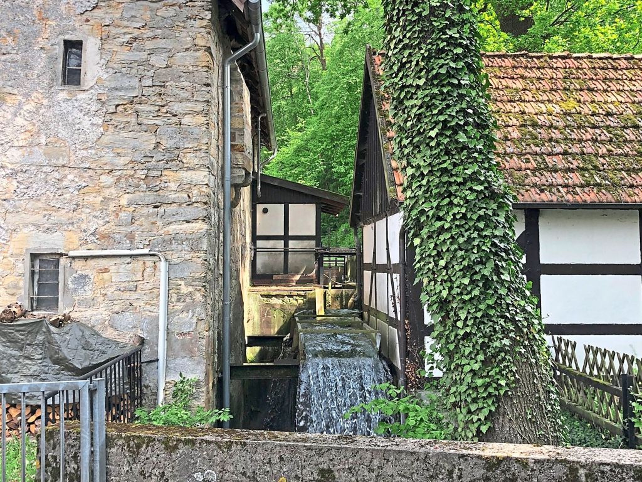 Vodes Mühle in Kirchborchen für Besucher geöffnet