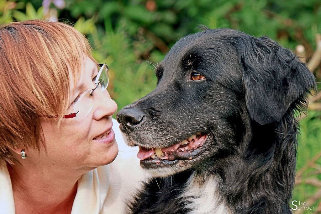 Abschied von einem Seelenhund