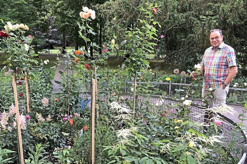 Ein Kavalier der alten Rose