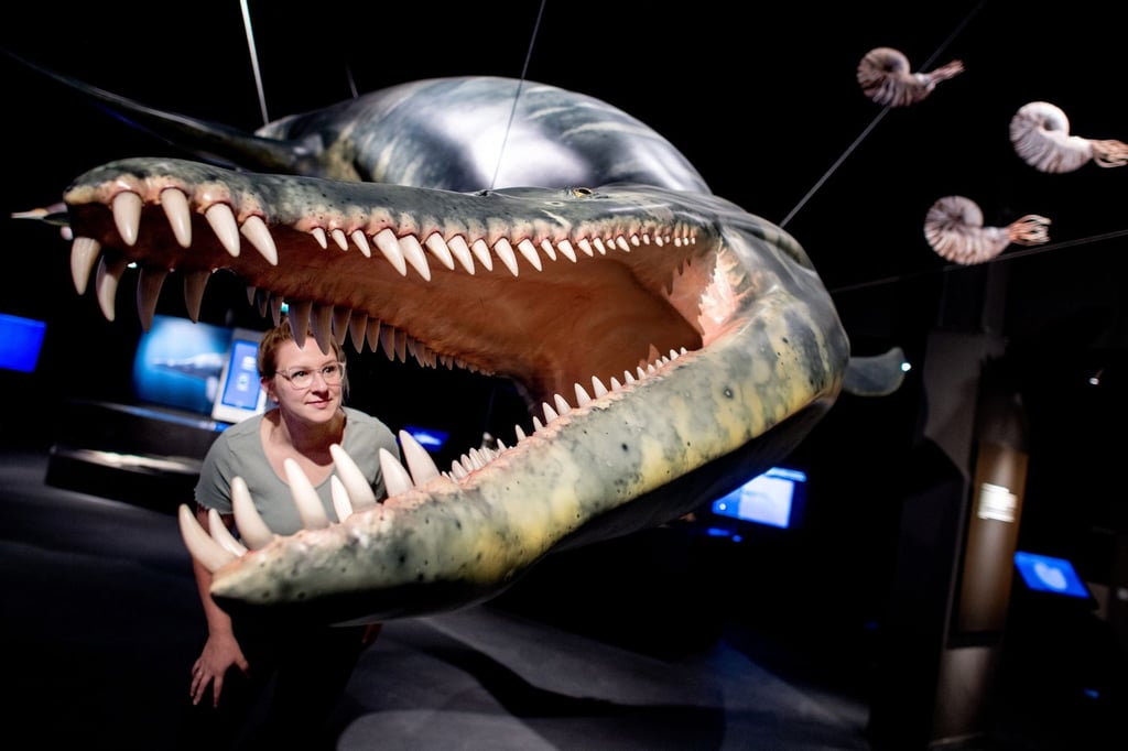 Meeressaurier am Jadebusen und Fahrradversand mit der Bahn
