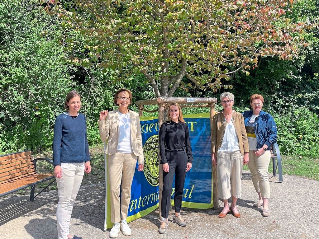 Baum und Bänke für den Padersee