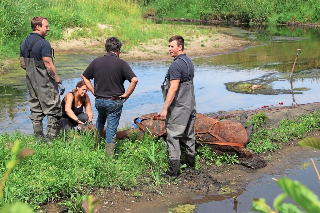 Feuerwehr muss im Schlamm versunkenes Tier aus Notlage retten