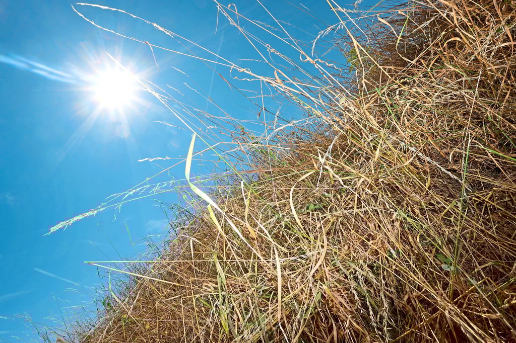 Starke Hitze ist nicht das einzige Problem