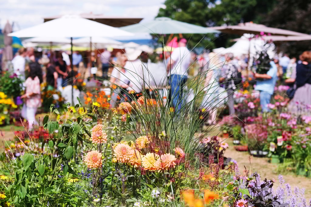 Mehr als 14.000 Besucher beim Gartenfest Corvey