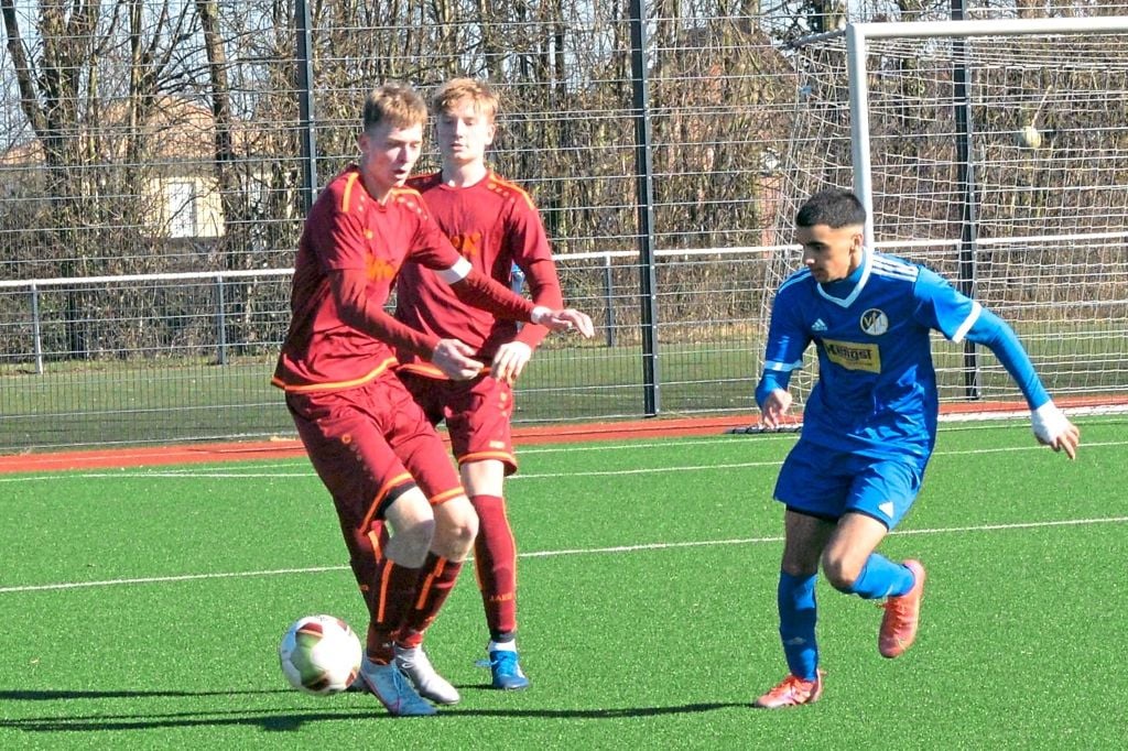 Wandervogel Paul Brüning zurück im 08-Nest