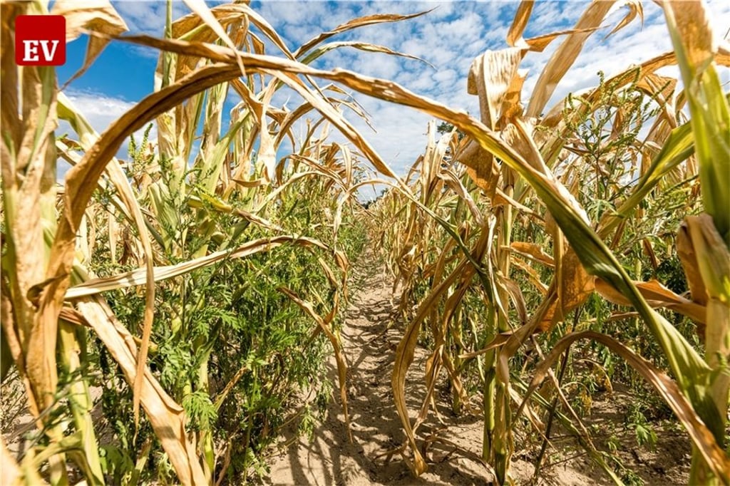 „Situation ist maximal frustrierend“