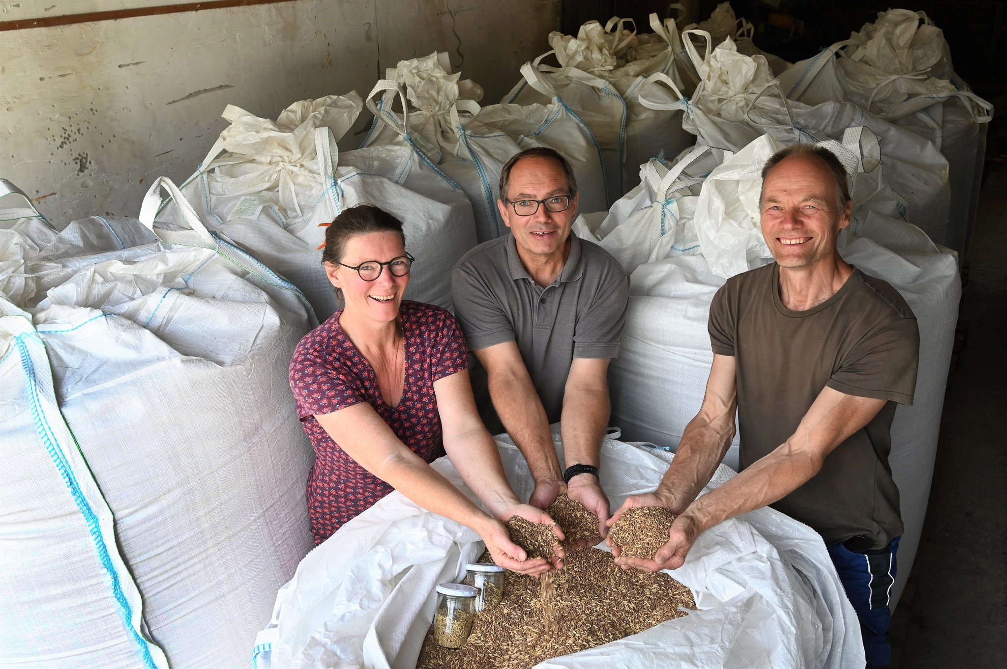 Rekordernte von vier Tonnen Linsen in Borchen