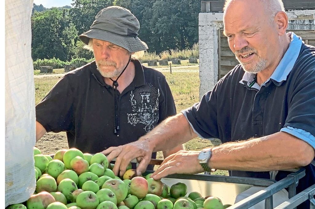 Rund 15 Tonnen Obst für einen „Renner“