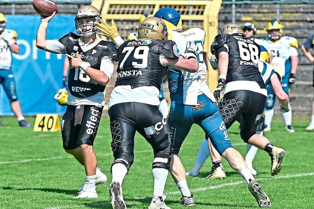 Paderborn Dolphins: Nur der Aufstieg zählt