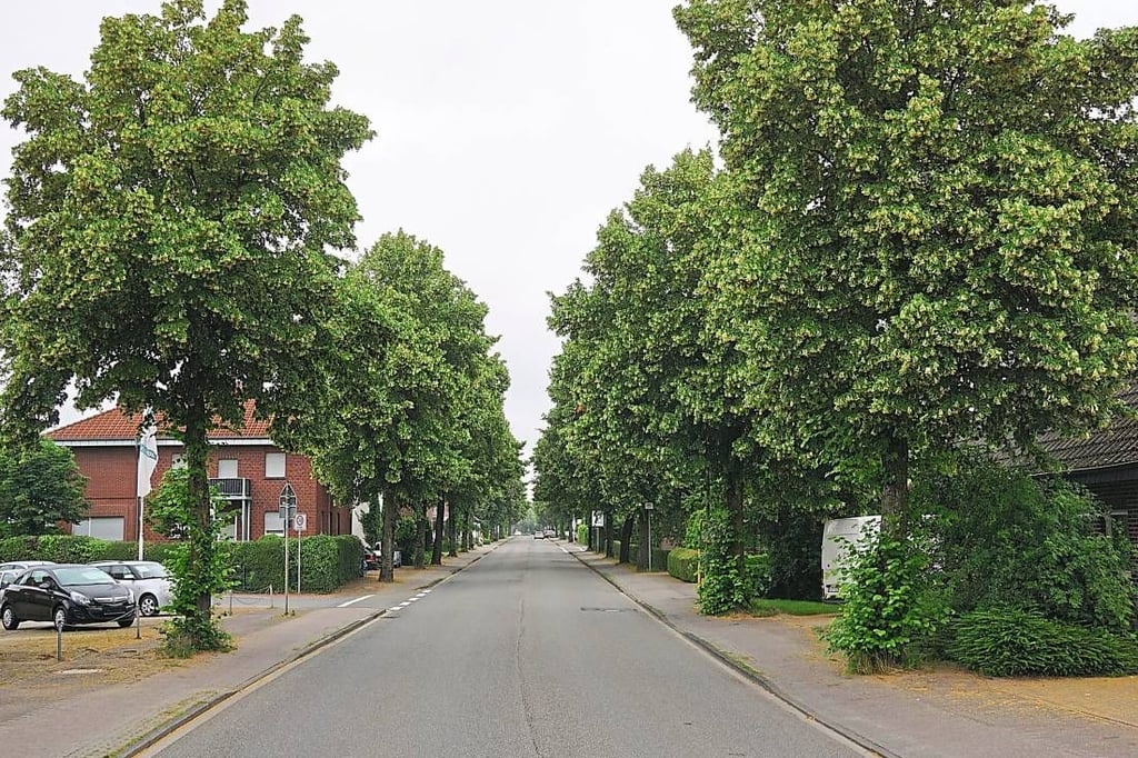 Gutachten lassen auf sich warten Gutachten lassen auf sich warten