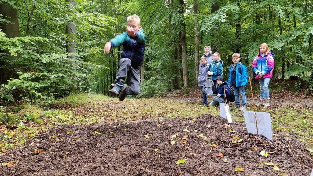168 Kinder erleben Natur pur bei den Waldjugendspielen in Dringenberg