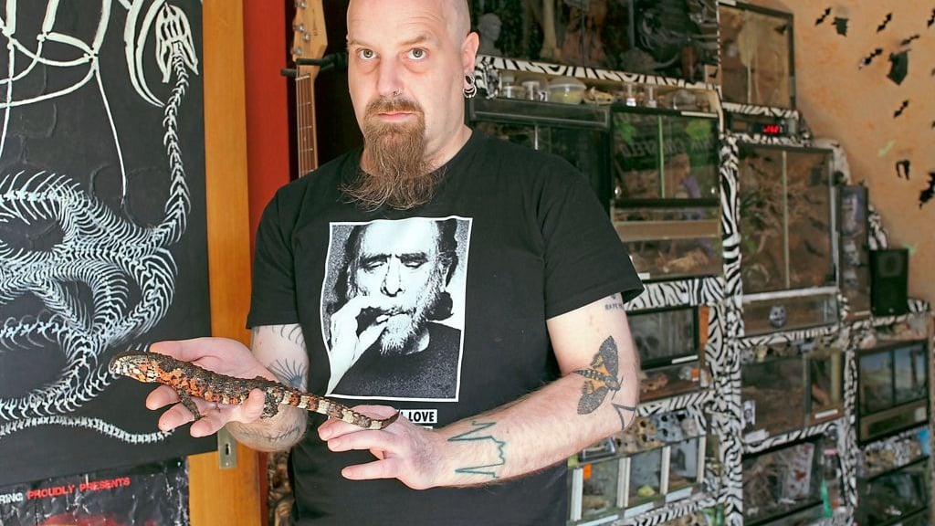 Echsen-Zuchtrekord in Nienberge?