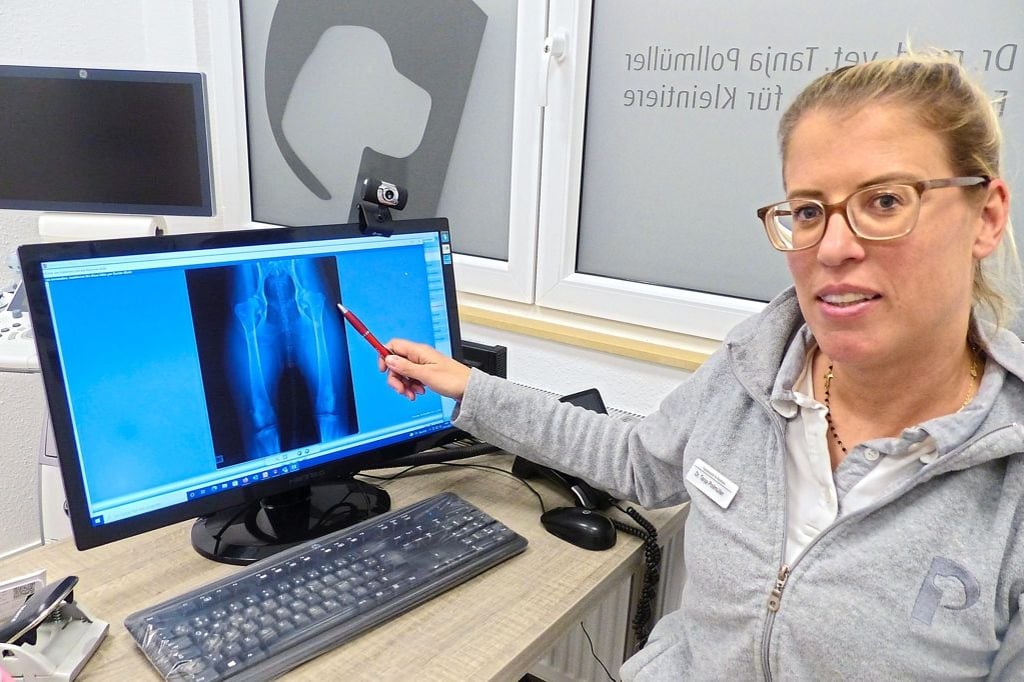 „Doc Polly“ will aufklären