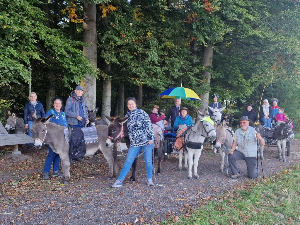 Esel-Fans aus OWL treffen sich in Stemwede