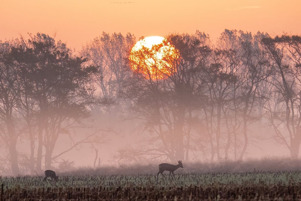 Winterzeit beginnt mit ungewöhnlich milden Temperaturen