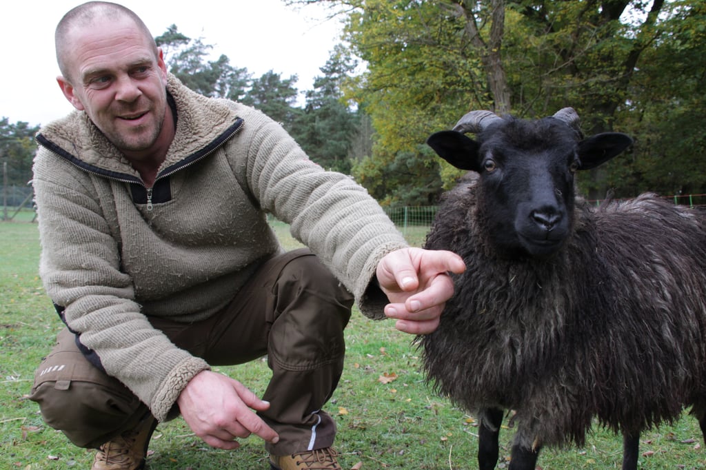 Lenkrad gegen Hirtenstab getauscht