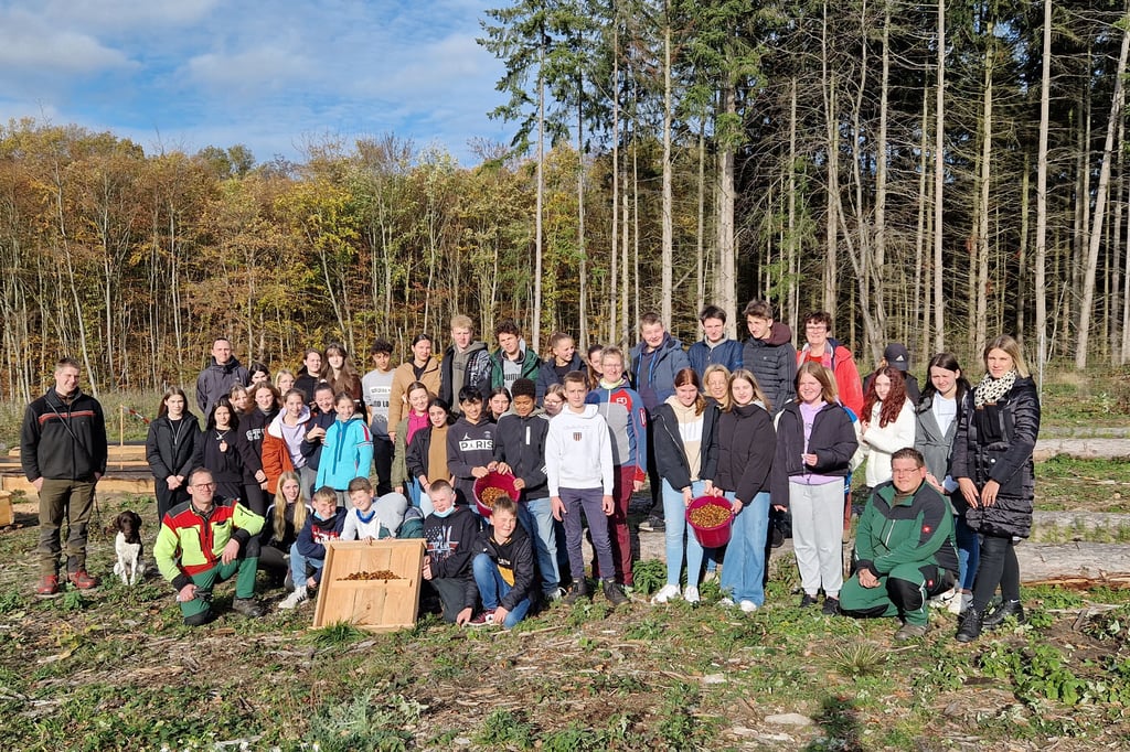 Vom Samen bis zum Baum