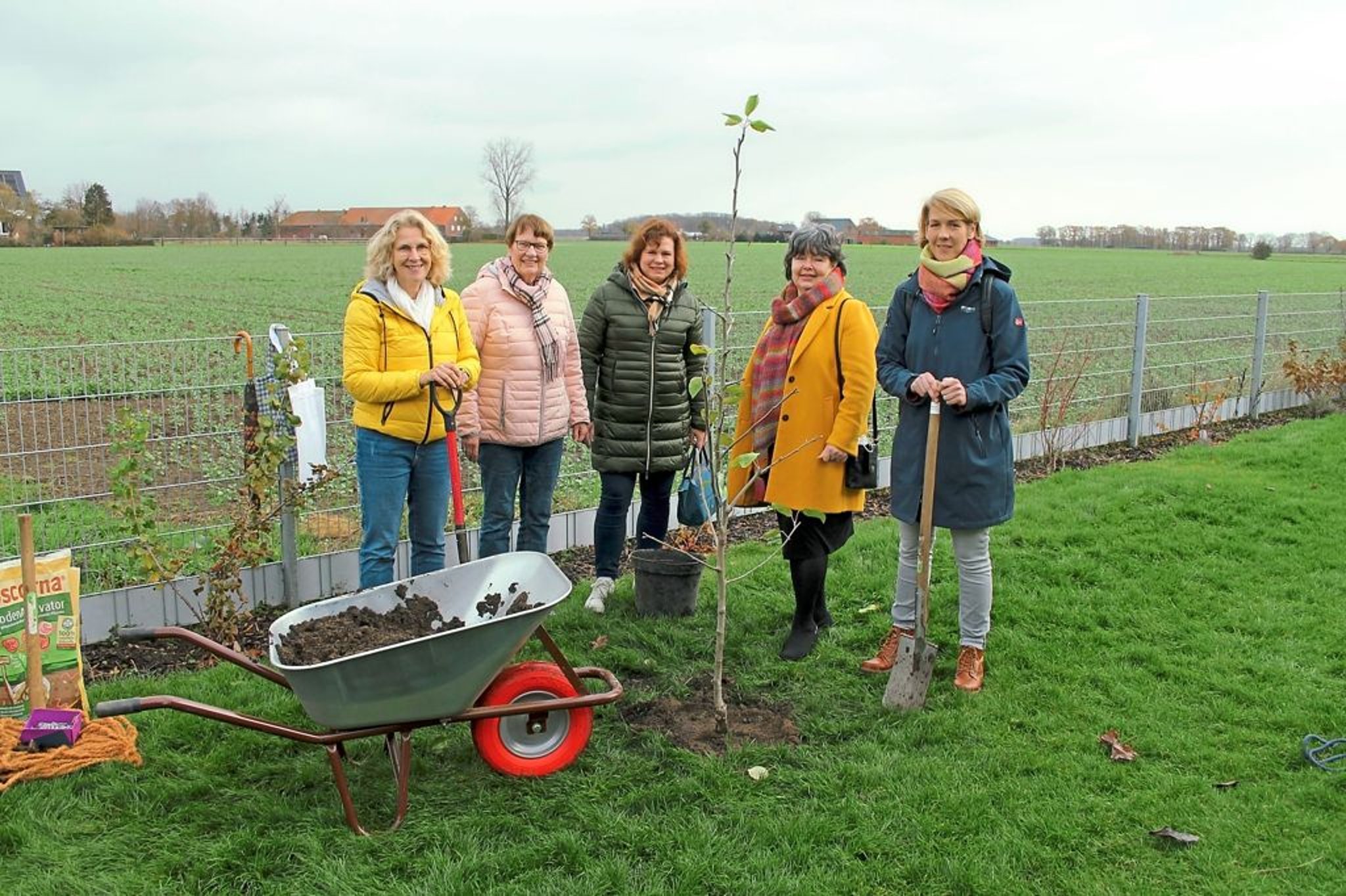 Fairer Baum als Dankeschön