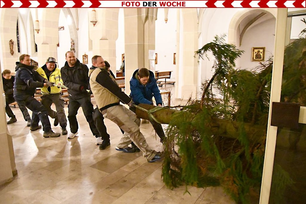 Das ist das Foto der Woche Das ist das Foto der Woche