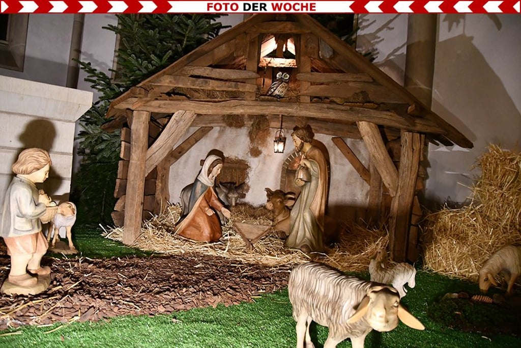 Das ist das Foto der Woche Das ist das Foto der Woche
