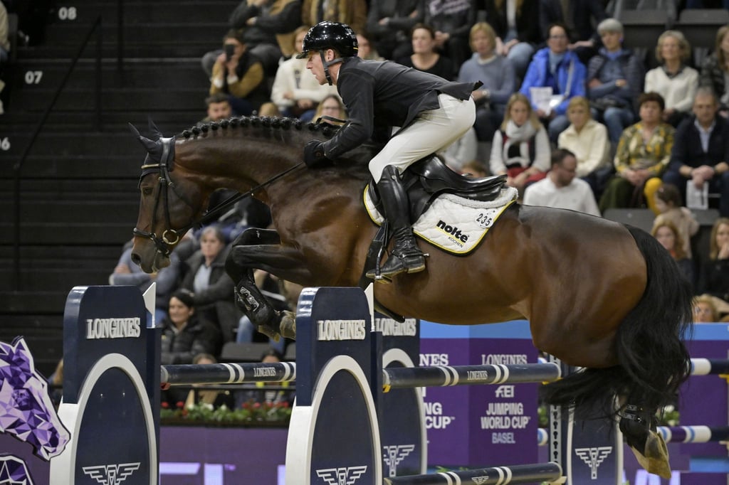 Deutsche Reiter erfolgreich in Basel