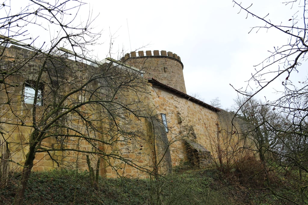 Preußen auf Nordpol-Expedition: Vortrag auf Ravensburg