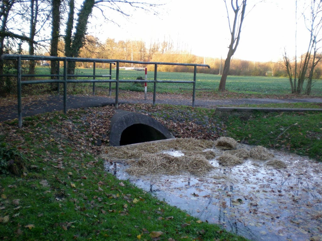 Renaturierung des Hellbachs wird konkret