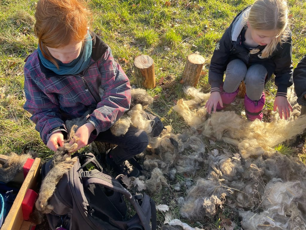 Die Natur mit allen Sinnen erleben