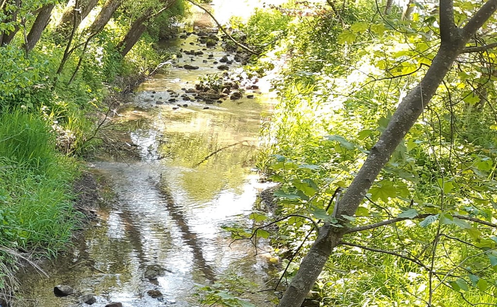 Kein PFAS-Gifstoff in der Nethe nachweisbar