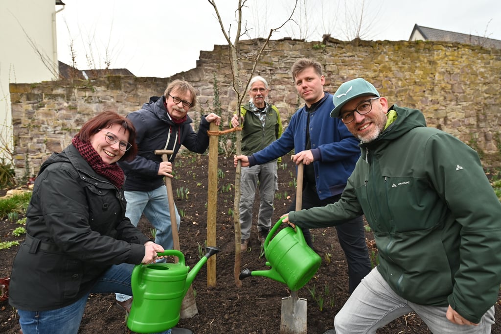 140 Jahre Heimat- und Verkehrsverein Höxter: Bäume werden gepflanzt