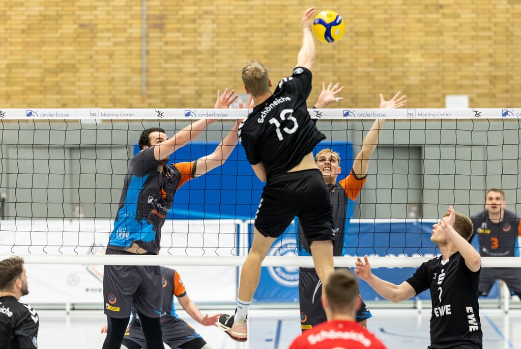 Orderbase Volleys siegen bei Heimspiel-Comeback gegen Schöneiche