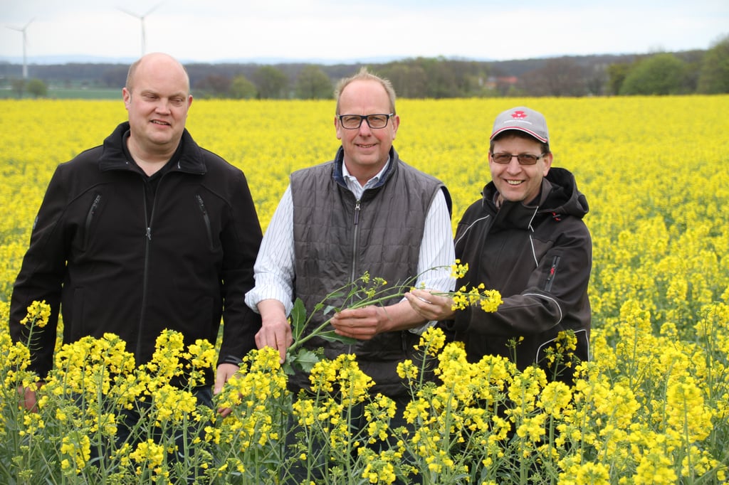 Im Kreis Paderborn bleibt Raps im Trend