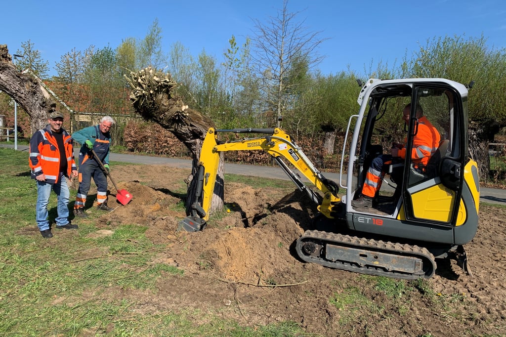 Alte Weiden weichen, neue kommen