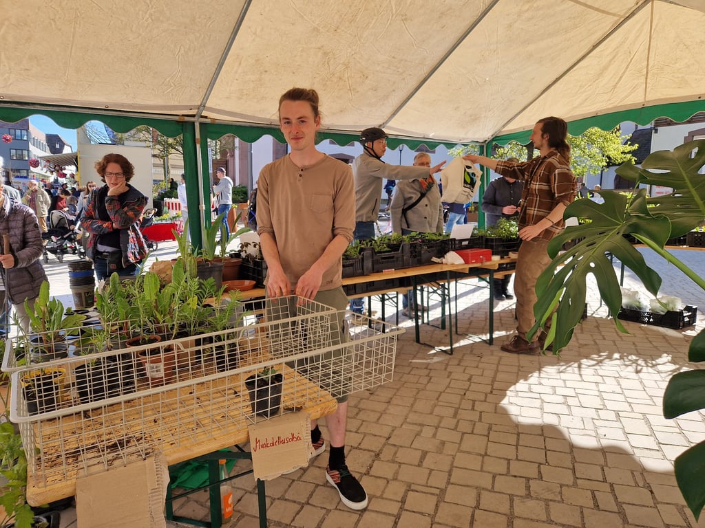 Blumen- und Pflanzenmarkt lockt viele Gäste nach Höxter