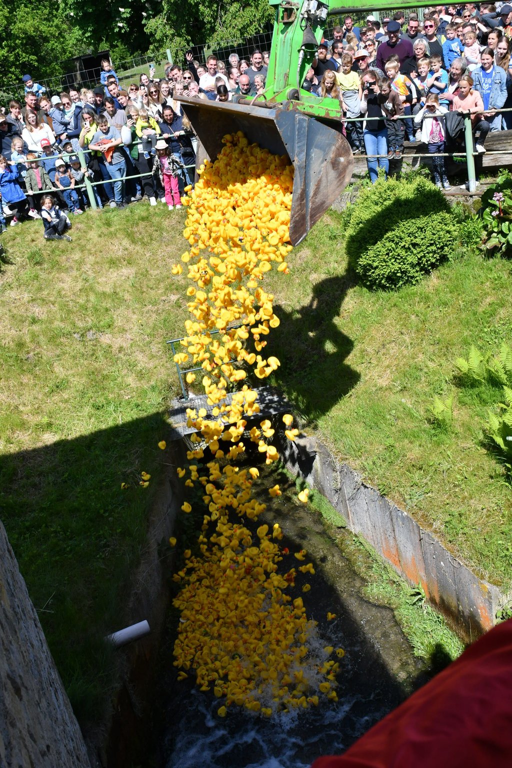 Eines der schnellsten Entenrennen aller Zeiten