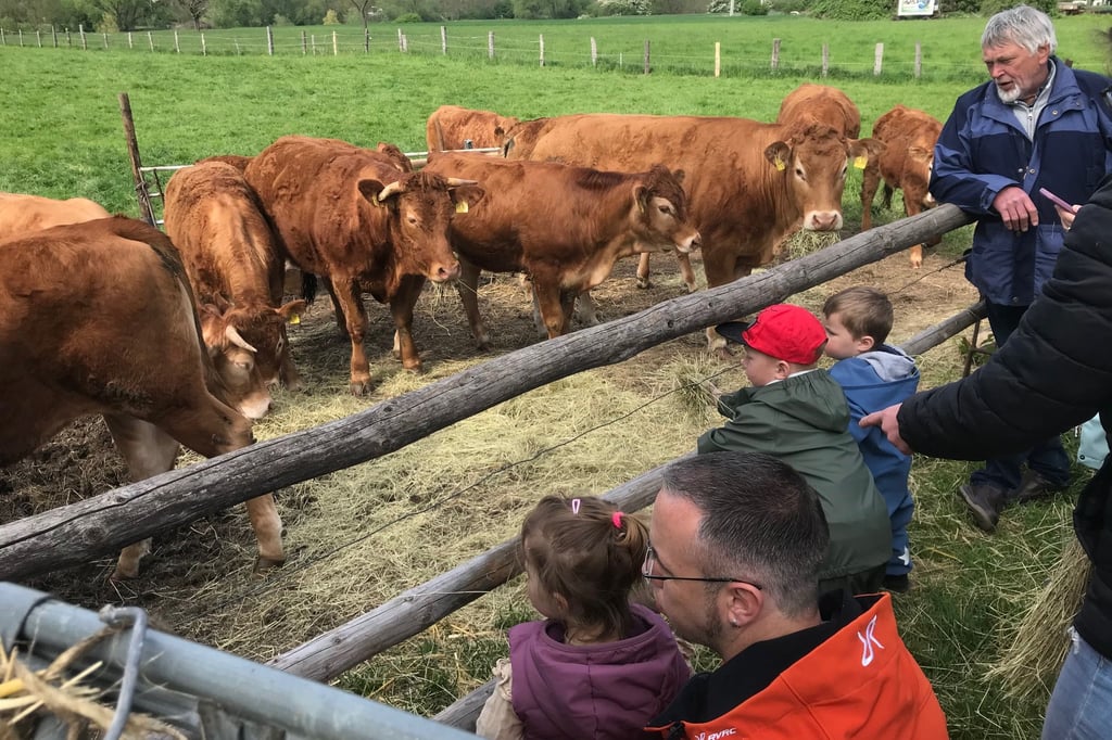 Kalletal: Heimatverein Erder schaut nach den Tieren
