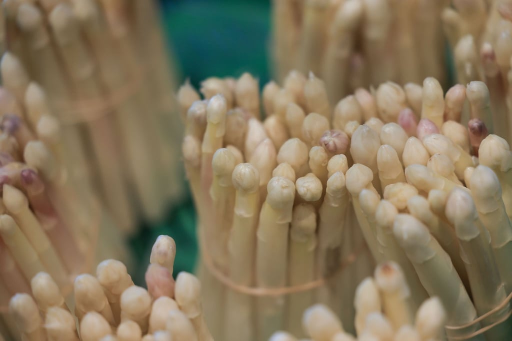 Spargelbauern rechnen mit einer guten Ernte