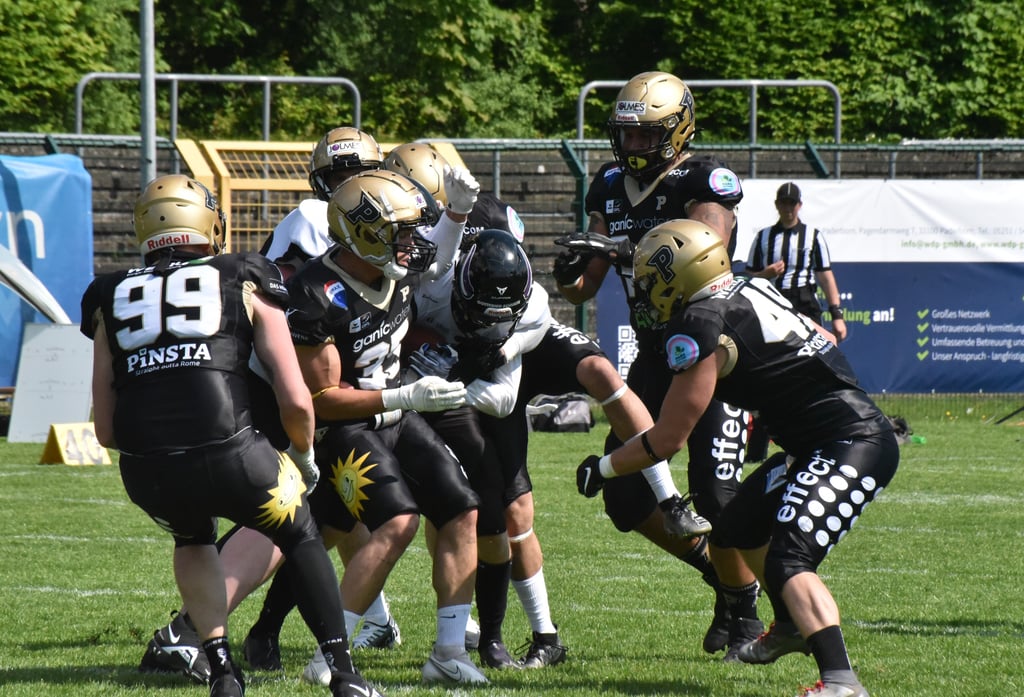 Paderborn Dolphins zum Deutschen Rekordmeister Braunschweig