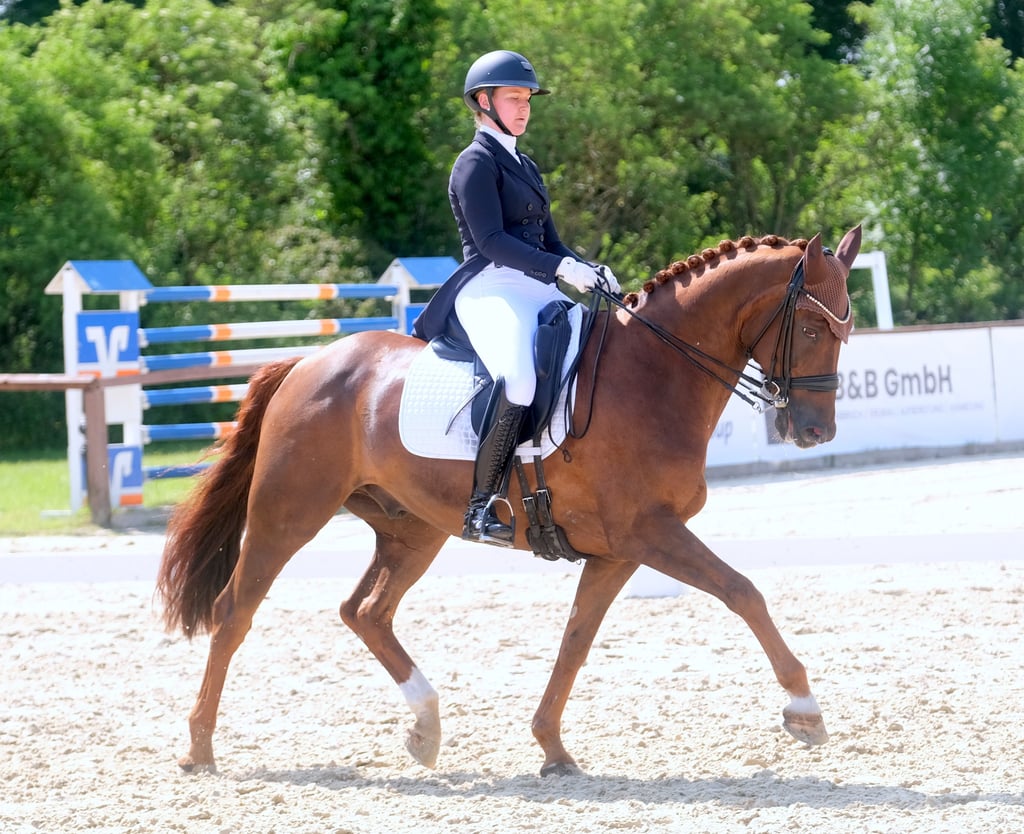 Noack und Feiner August triumphieren