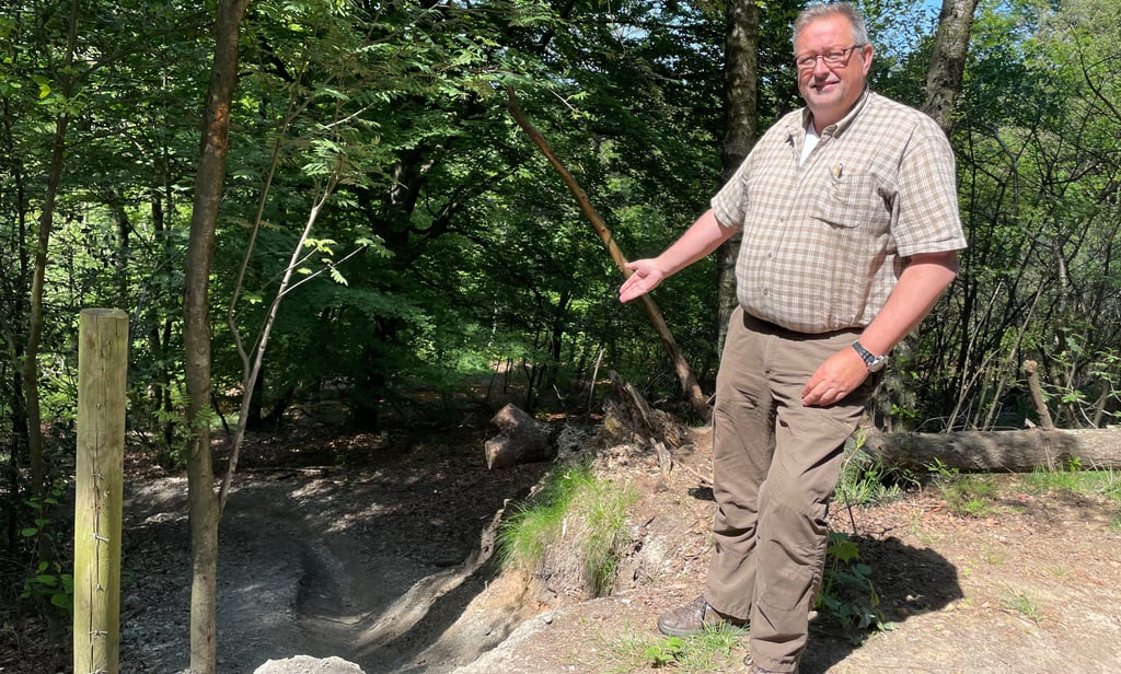 Mountainbiker zerstören Neuanpflanzungen in Steinhagen